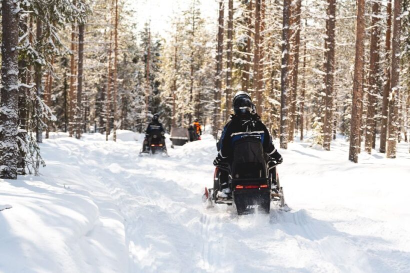 Rovaniemi: Snowmobile Safari into the Arctic Circle Forest - Key Points