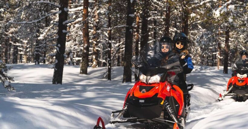 Rovaniemi: Snowmobile Safari into the Arctic Circle Forest - A Closer Look at the Snowmobile Safari Experience