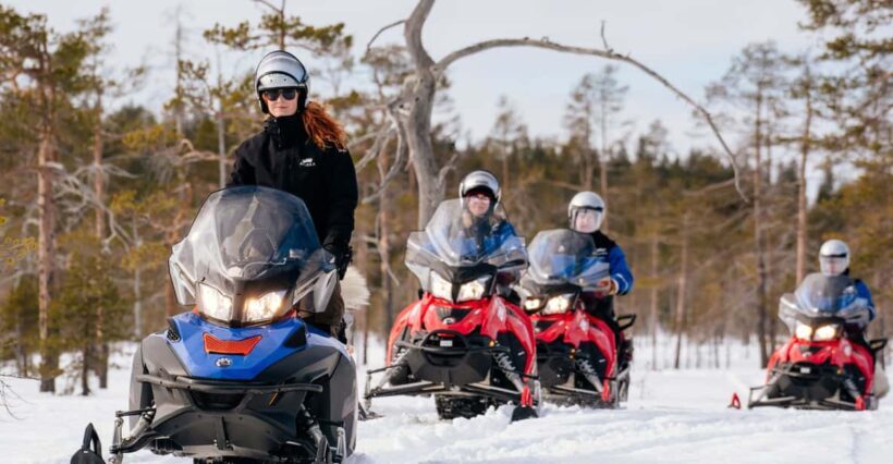 Rovaniemi: Snowmobile Safari into the Wilderness - Key Points