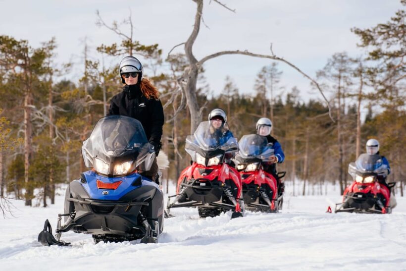 Rovaniemi: Snowmobile Safari into the Wilderness - The Itinerary: What to Expect