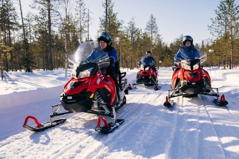 Rovaniemi: Snowmobile Safari into the Wilderness - Who Should Consider This Tour?