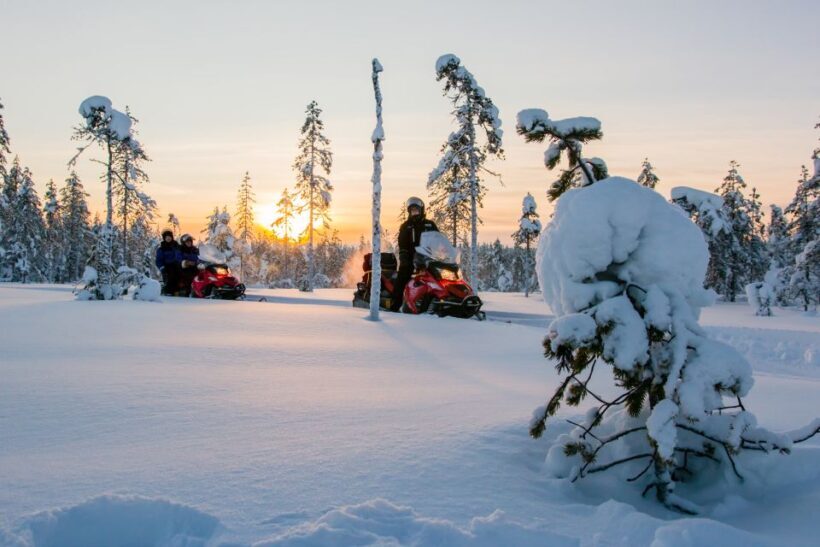 Rovaniemi: Snowmobile Safari to a Reindeer Farm - What to Expect from the Safari