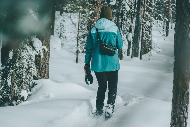 Rovaniemi: Snowshoeing in a magical snowy forest - Rovaniemi: Snowshoeing in a magical snowy forest — An Authentic Arctic Adventure