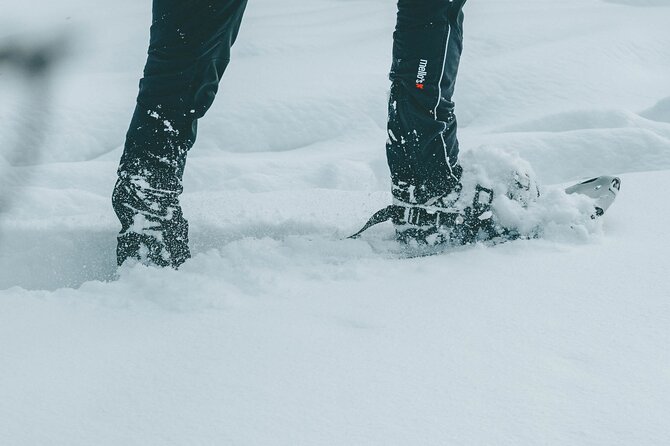 Rovaniemi: Snowshoeing in a magical snowy forest - The Itinerary: What’s Included and What to Expect