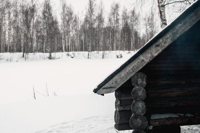 Rovaniemi: Snowshoeing in the Arctic Wilderness - Discovering the Arctic Wilderness by Snowshoe