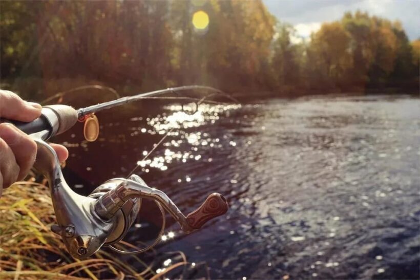 Rovaniemi: Summer Fishing Tour in Arctic Nature & BBQ - Key Points