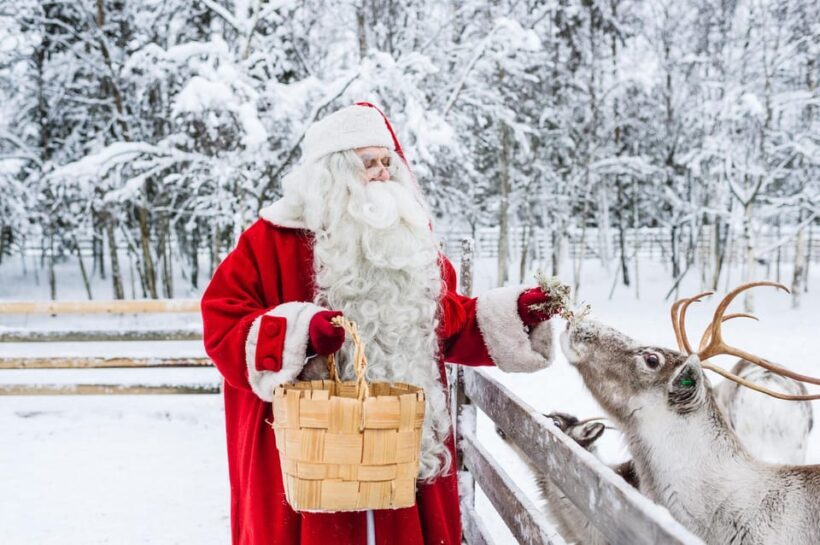 Rovaniemi: Tour to Santa Claus Village with Hotel Transfer - Who Will Love This Tour?
