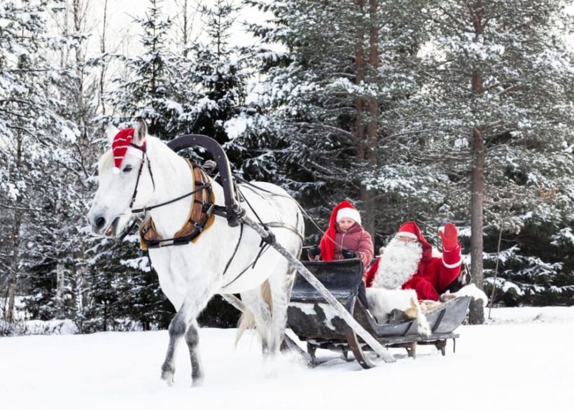 Rovaniemi: Traditional Finnhorse Sleigh Ride at SCV (3km) - Practical Details and Value