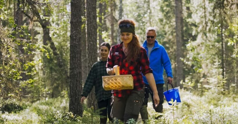 Rovaniemi : Trekking in the Heart of Nature - Key Points