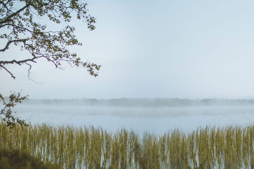 Rovaniemi : Trekking in the Heart of Nature - A Worthwhile Experience for Nature Lovers and Curious Travelers