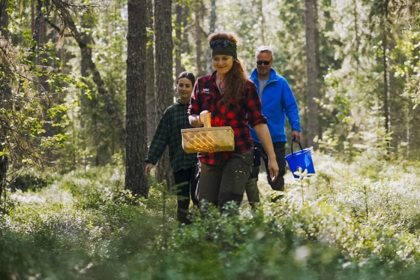 Rovaniemi : Trekking in the Heart of Nature - FAQ