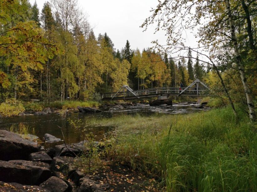 Rovaniemi: Vaattunki Hiking Arctic Circle Trail - The Experience’s Strengths