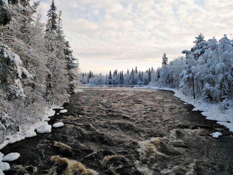 Rovaniemi: Vaattunki Hiking Arctic Circle Trail - Who Should Consider This Tour?