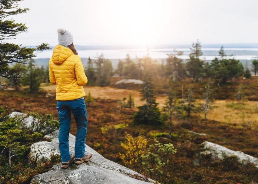 Rovaniemi: Wild Moose Safari - Key Points