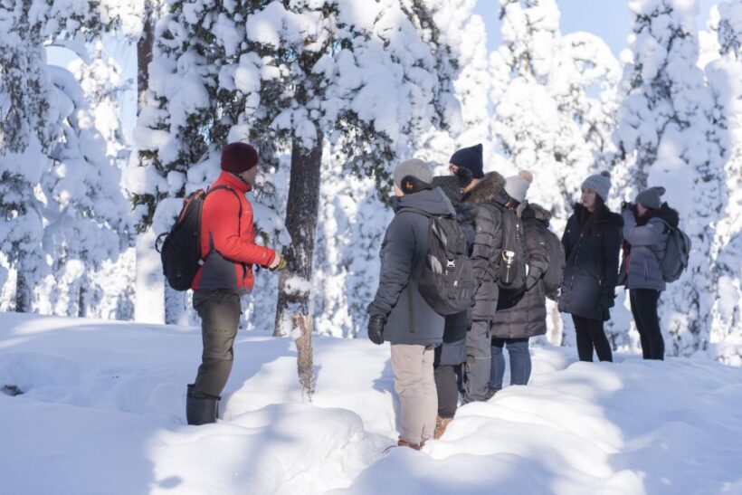 Rovaniemi: Wilderness Tour - Rovaniemi: Wilderness Tour — An Authentic Journey into Lapland’s Nature