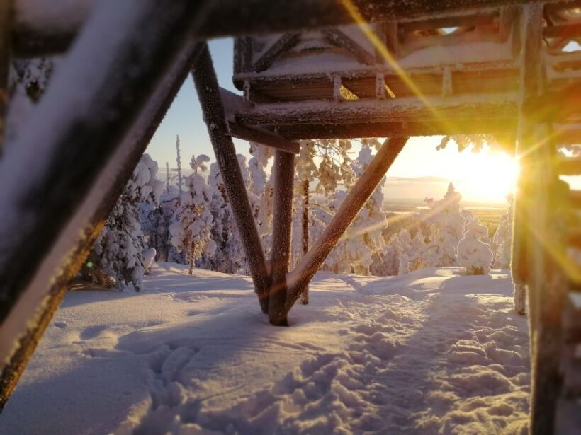 Rovaniemi: Wilderness Tour - FAQs