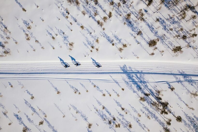 Rovaniemi: Winter eFatbike Tour in Snowy Forest - Operator and Logistics