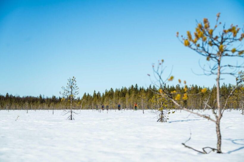 Rovaniemi: Winter eFatbike Tour in Snowy Forest - FAQ