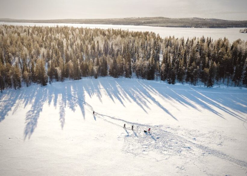 Rovaniemi: Winter Wilderness Snowshoeing Trip - An In-Depth Look at the Snowshoeing Experience