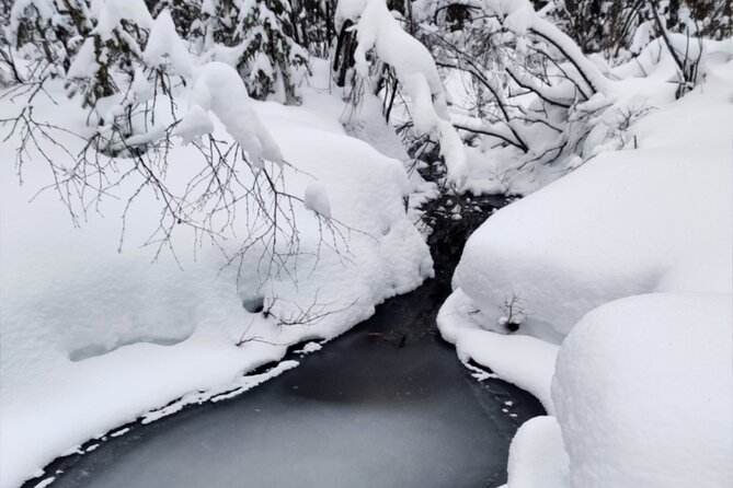 Rovaniemi: Winter Wonderland Vikaköngäs Hiking Tour & BBQ - Introduction