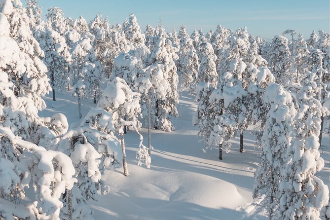 Rovaniemi: Winter Wonderland Vikaköngäs Hiking Tour & BBQ - The Value of the Experience