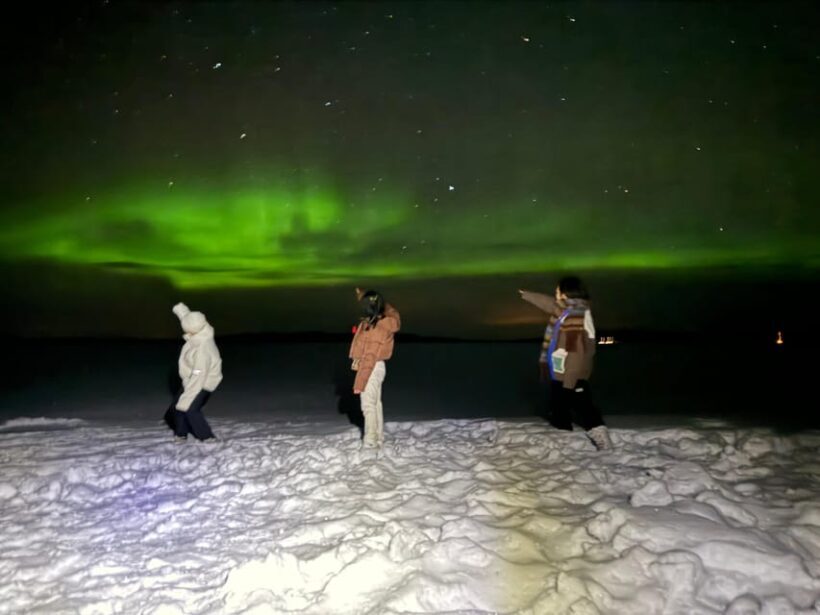 Rovaniemi:Northern Lights Hunt in Lapland Wilderness - Key Points