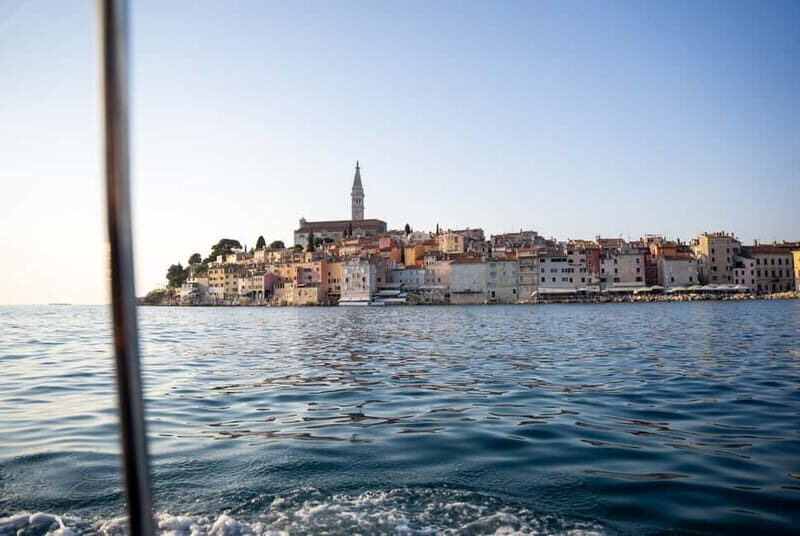 Rovinj: Dolphin Watching Sunset Speedboat Tour with Drinks - Practical Tips for Travelers