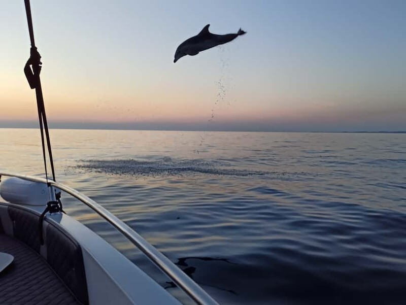 Rovinj: Dolphin Watching Sunset Speedboat Tour with Drinks - Frequently Asked Questions