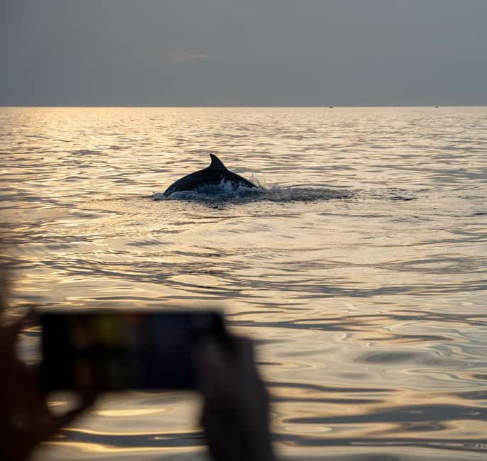 Rovinj: Dolphins at Sunset & Island Swimming Speedboat Tour - Discovering Rovinj’s Archipelago in a Speedboat