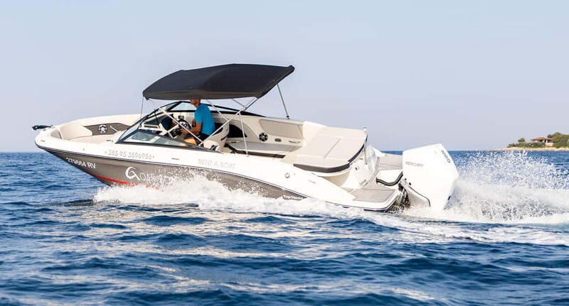 Rovinj: Dolphins at Sunset & Island Swimming Speedboat Tour - Who Will Love This Tour?