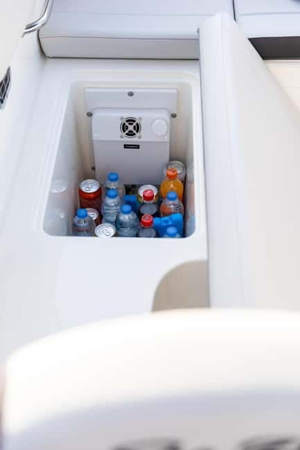 Rovinj: Dolphins at Sunset & Island Swimming Speedboat Tour - The Sum Up