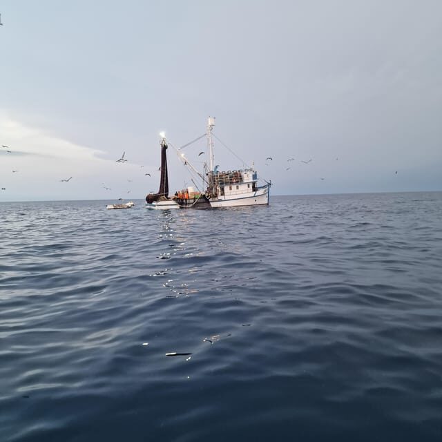 Rovinj fishing tour with boat - Authenticity and Guide Expertise