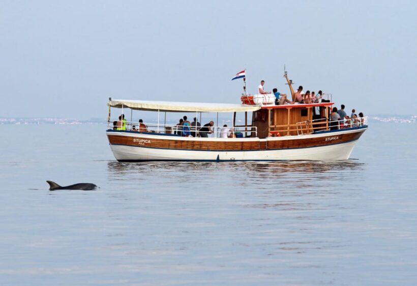 Rovinj half-day cruise: swim stops, drinks & brunch included - Frequently Asked Questions