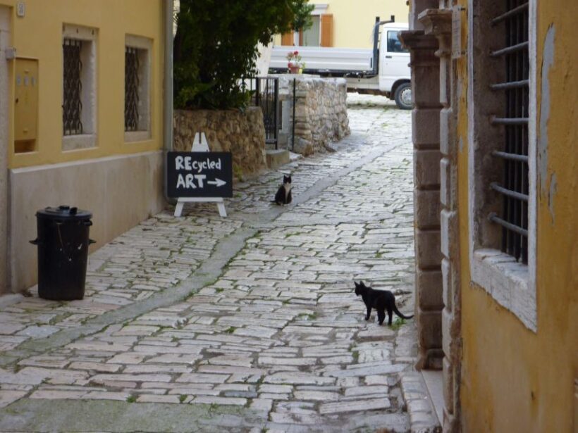Rovinj: Private Walking Tour - The Town’s Architectural Highlights