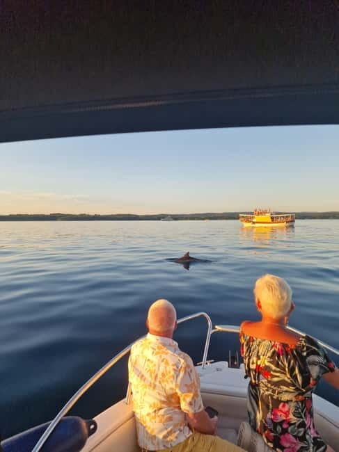 Rovinj: Shared Dolphin and Sunset Tour with Drinks - The Itinerary in Detail