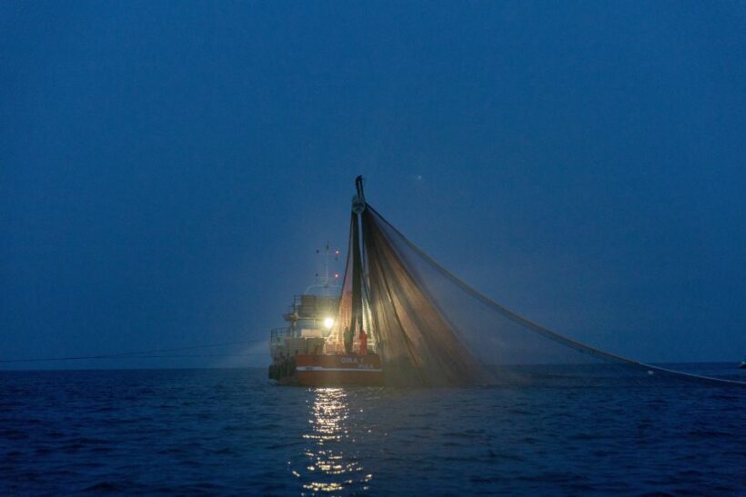Rovinj: Sunrise Dolphins & Fishermen at Work Speedboat Tour - Final Thoughts