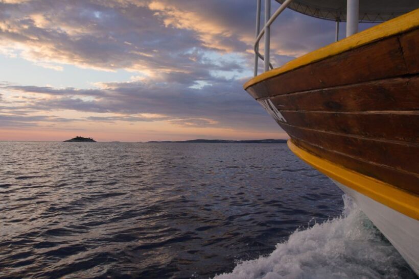 Rovinj: Sunset Boat Trip with Dolphin Watching - An Overview of the Experience