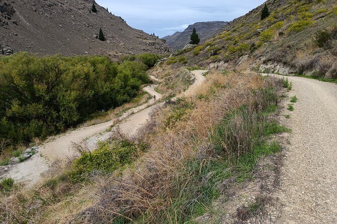 Roxburgh Gorge Bike Hire with Jet Boat & Return Shuttle Included - A Closer Look at the Roxburgh Gorge Experience