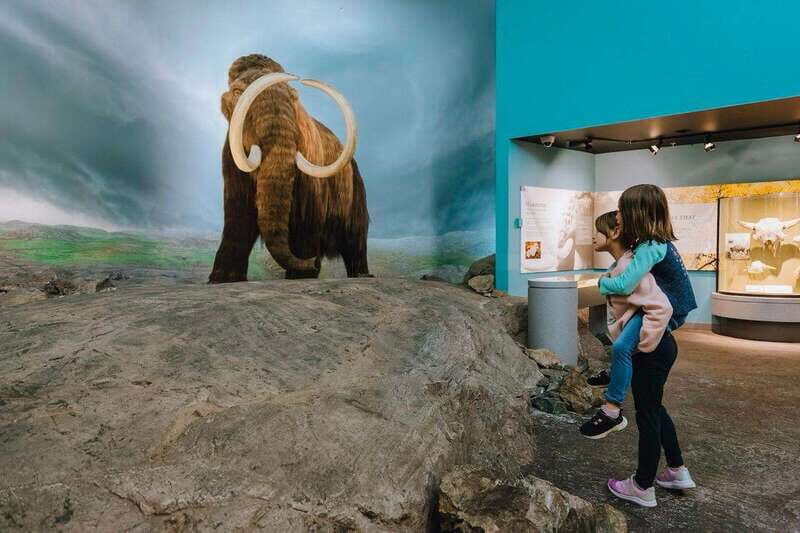 Royal B.C. Museum in Victoria: Full-Day Admission Ticket - Key Points