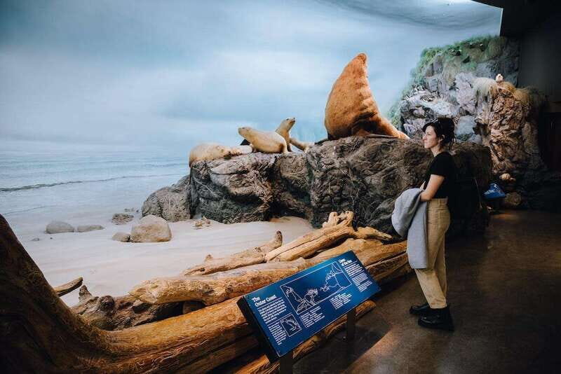 Royal B.C. Museum in Victoria: Full-Day Admission Ticket - A Deep Dive into the Experience