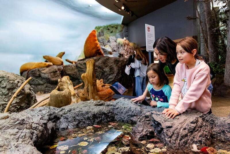 Royal B.C. Museum in Victoria: Full-Day Admission Ticket - Practical Tips