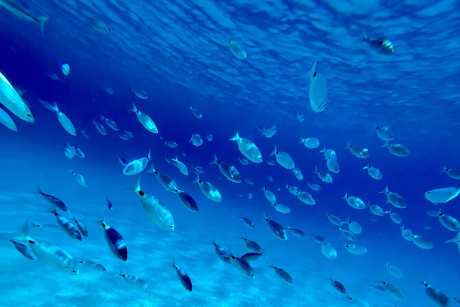 Royal Blue Half Day Private Tour to Kleftiko Milos - Snacks and Beverages