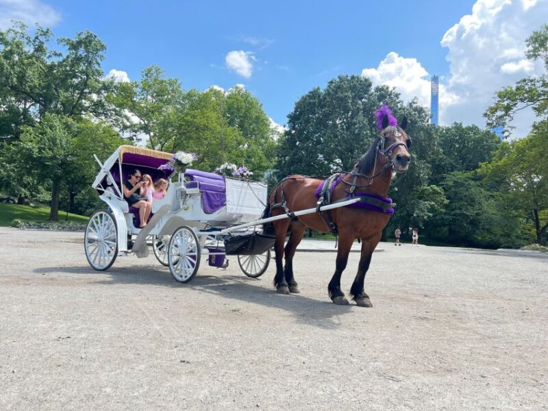 Royal Carriage Ride in Central Park NYC - Key Points