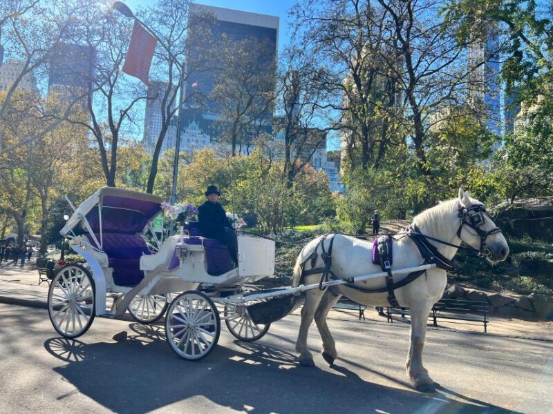 Royal Carriage Ride in Central Park NYC - The Itinerary in Detail