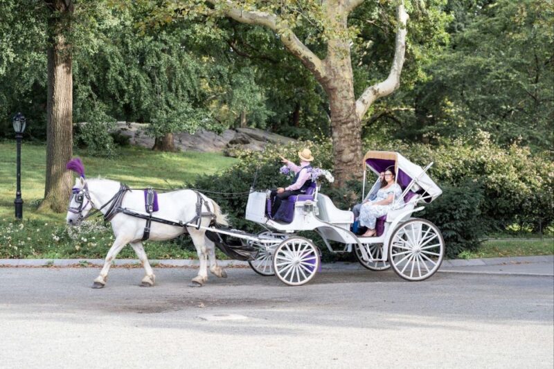 Royal Carriage Ride in Central Park NYC - Who Should Consider This Experience?