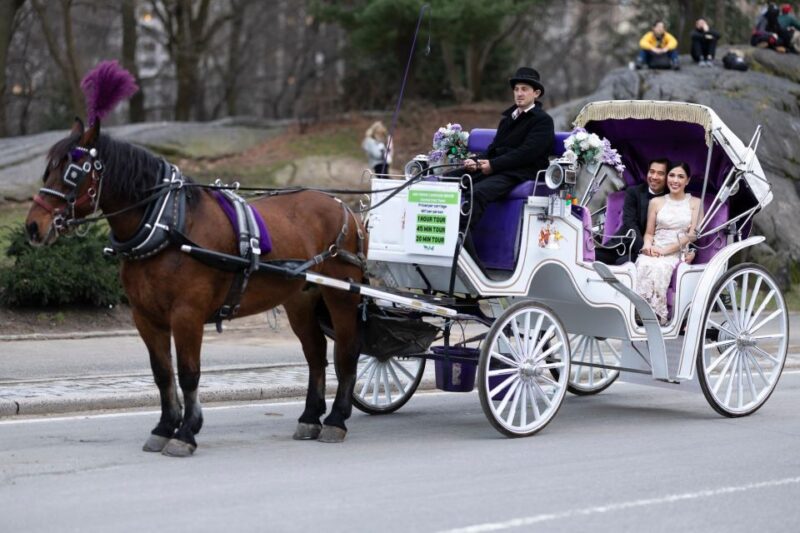Royal Carriage Ride in Central Park NYC - FAQ