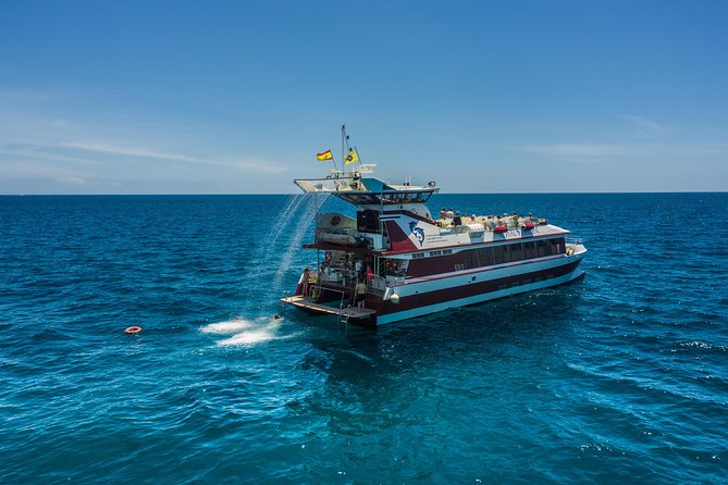 Royal Delfin 3H Dolphin & Whale Watching! Swimming & Lunch! - Accessibility and Mobility