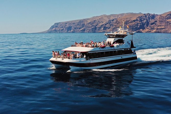 Royal Delfin - 45H Dolphin & Whale Watching - Los Gigantes Masca - Lunch & Swim - Itinerary and Activities