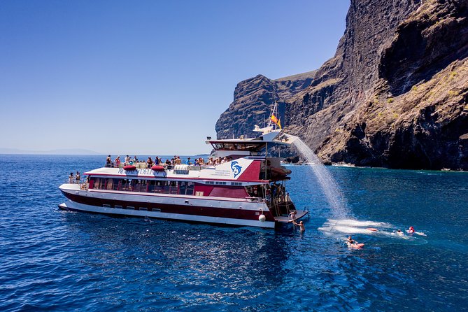 Royal Delfin - 45H Dolphin & Whale Watching - Los Gigantes Masca - Lunch & Swim - Wildlife Sightings