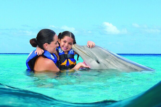 Royal Garragon with Dolphin Encounter in Isla Mujeres - What the Tour Offers: A Complete Breakdown